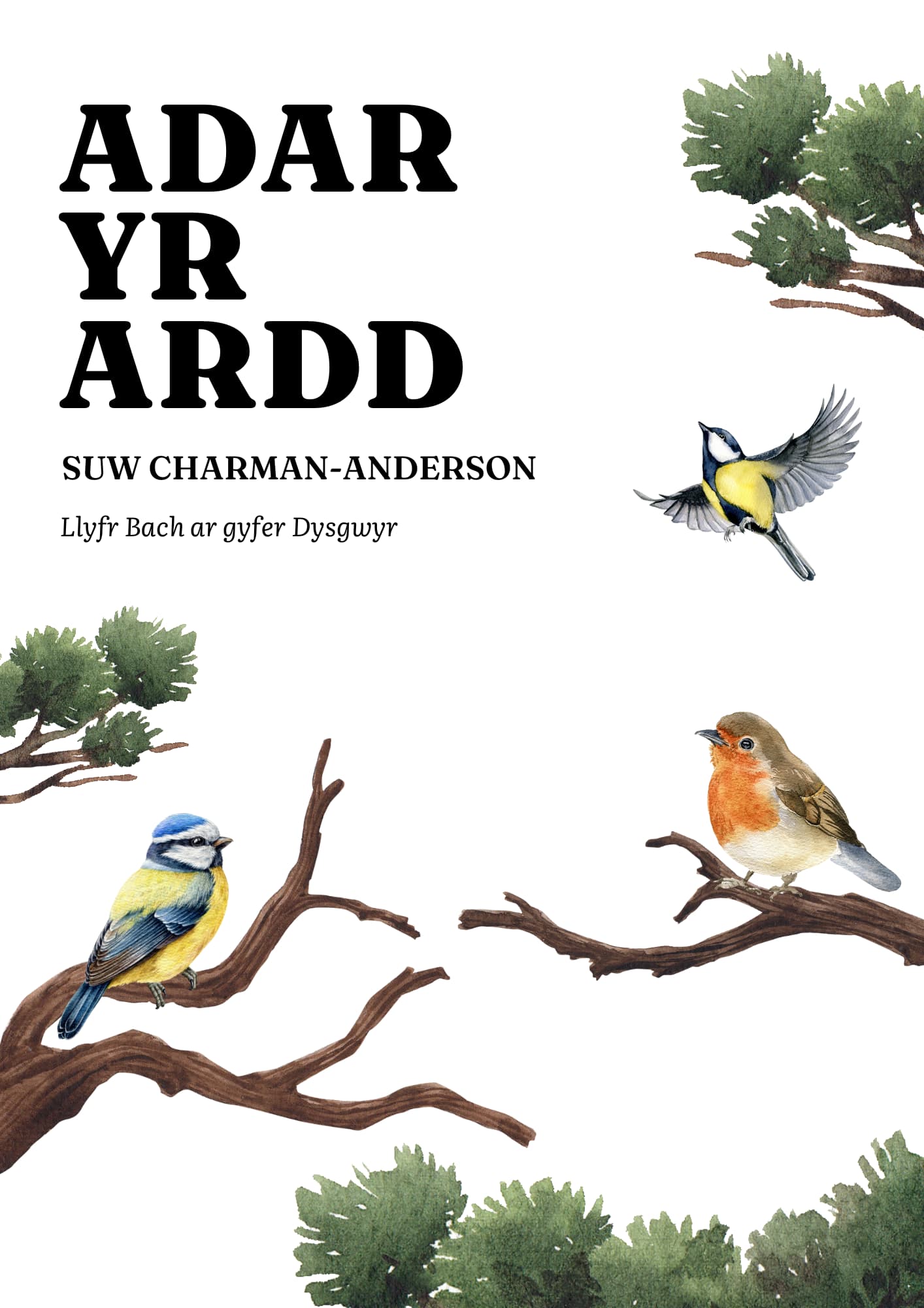 New book for learners: Adar yr Ardd (Garden Birds) - General ...